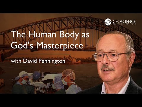 Human Body: How Does A Christian Surgeon View Its Design As God’s ...
